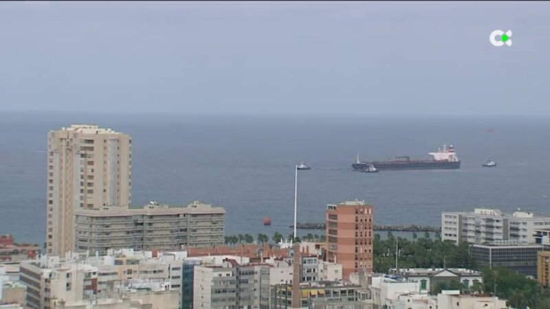 La paloma rabiche ya tiene nidos en Gran Canaria
